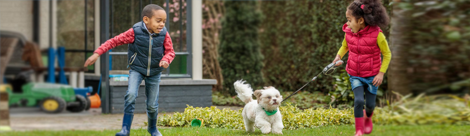 Companion animals - MSD Animal Health Filipinas