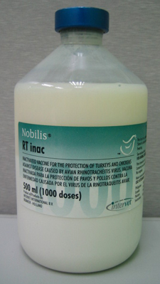 Nobilis® RT Inac - MSD Animal Health Filipinas
